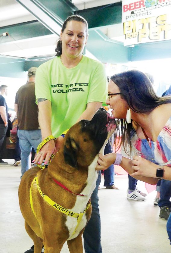 For a good paws | News, Sports, Jobs - Altoona Mirror